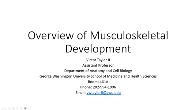 Overview of Musculoskeletal Development