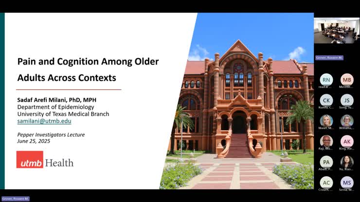 Pain and Cognition Among Older Adults Across Contexts by Sadaf Milani