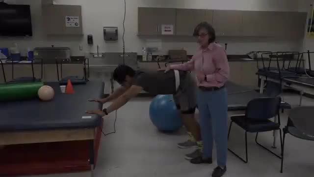 Plantigrade Activities