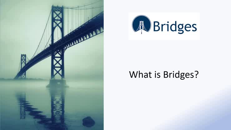 What is Bridges?