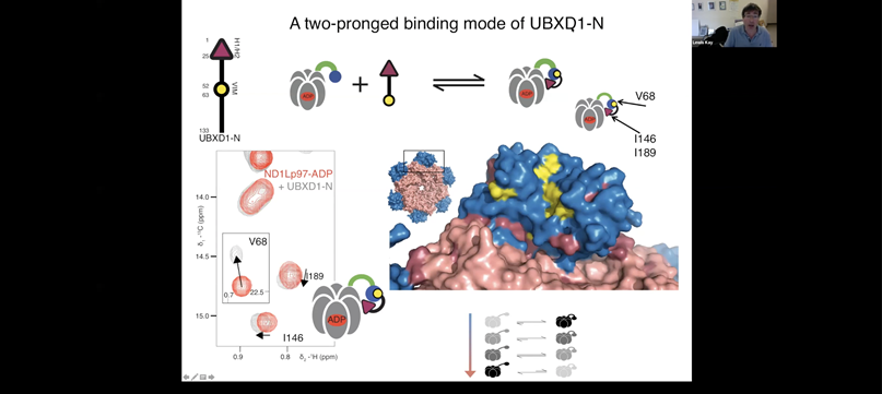 Lewis Kay- 02/09/2022