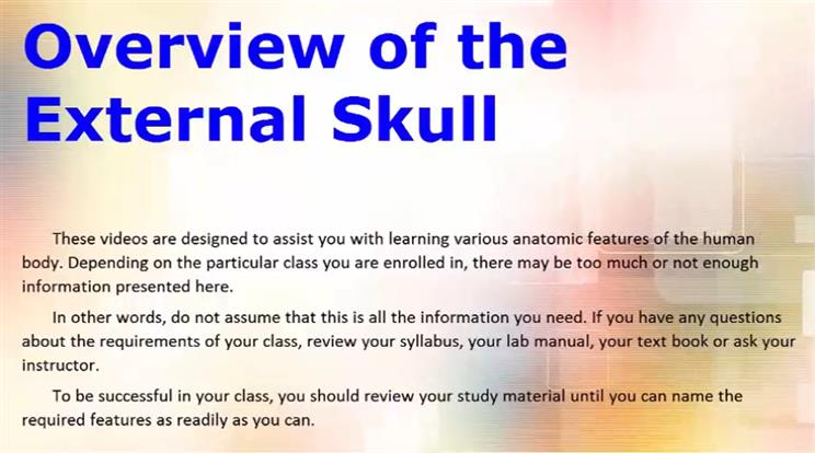 Overview of the External skull