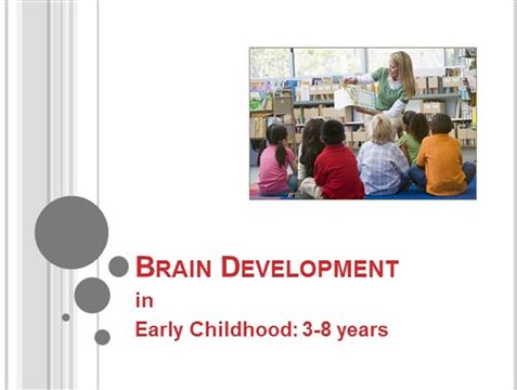 Brain Development in Early Childhood