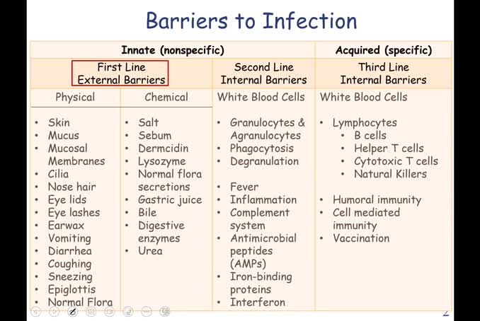 1st Line Innate External Barriers Video Lecture
