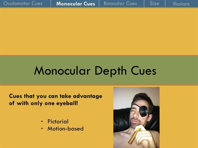 07 Depth and Size: 03 Monocular Depth Cues