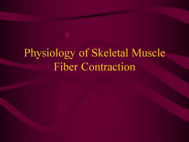 Physiology of Skeletal Muscle Contraction