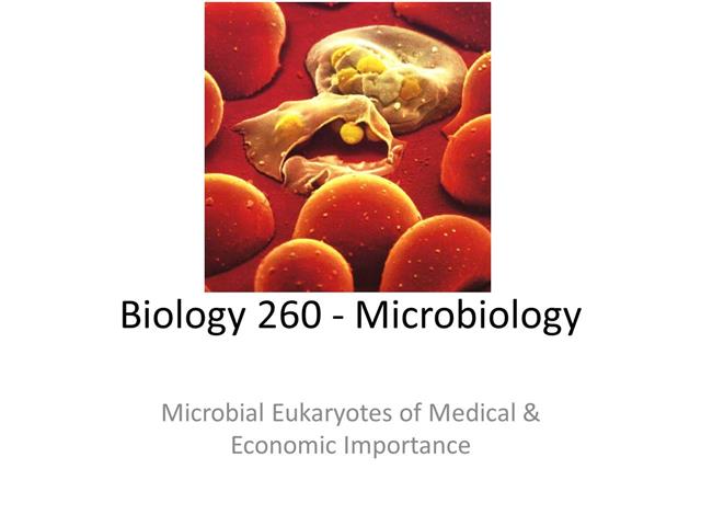 Lecture 11 - Eukaryotic Microbes
