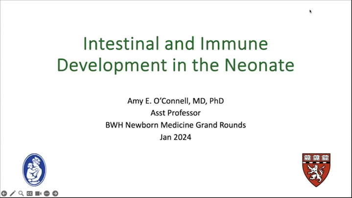 Intestinal and Immune Development in the Neonate