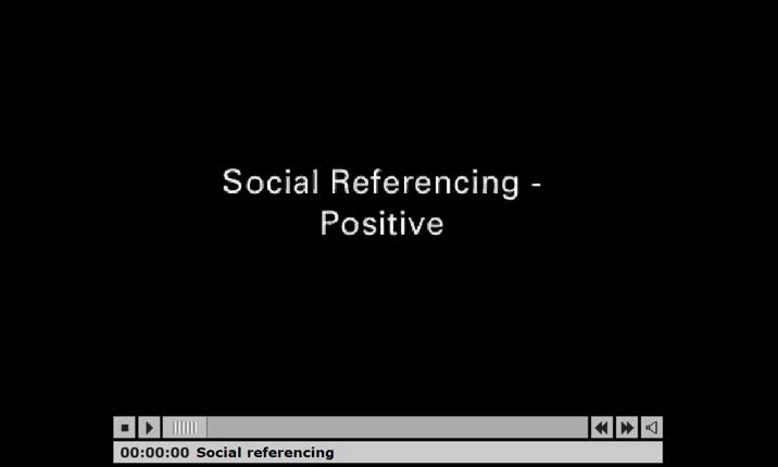 social_referencing