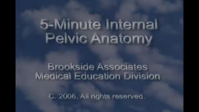Female Reproductive Anatomy