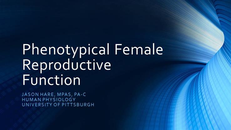 Lecture #24: Phenotypical Female Reproductive Function