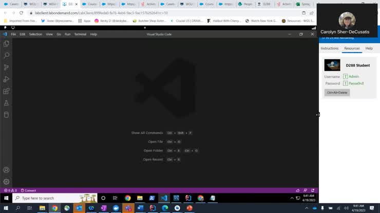 D288 Demo of Completed Project