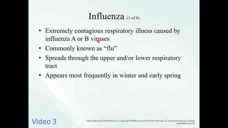 3. Influenza