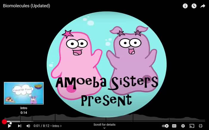 Amoeba Sisters Macromolecules