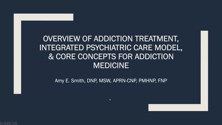 Overview of Addiction Treatment, the Integrated Psychiatric Model, and ...