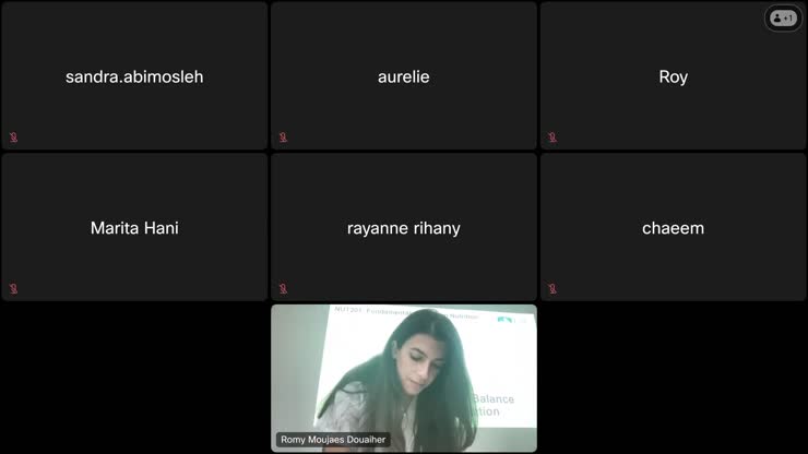 Nut 201-20241105 0804-1