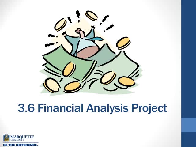 3.6 Financial Analysis Project