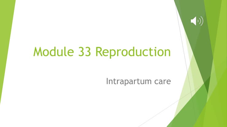 Voice over powerpoint Module 33 A Reproduction Intrapartum Care video cc