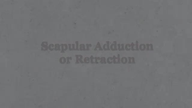 Scapular Adduction or Retraction