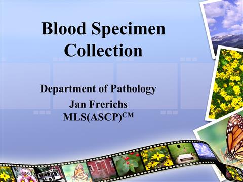 Blood Collection Procedures