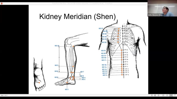 Fri 2/16: Meridian & Acu Review: Kid/UB/GB/LIV