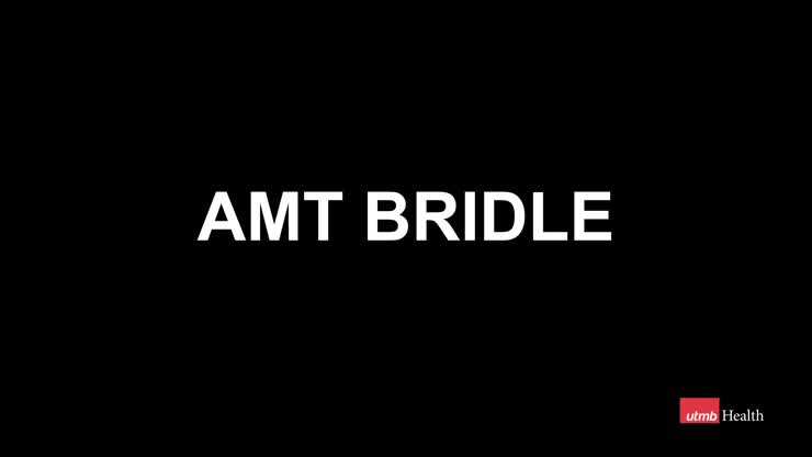 AMT Bridle
