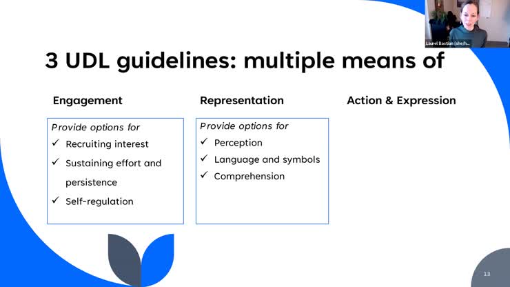 Excerpt - Multiple Means of Representation