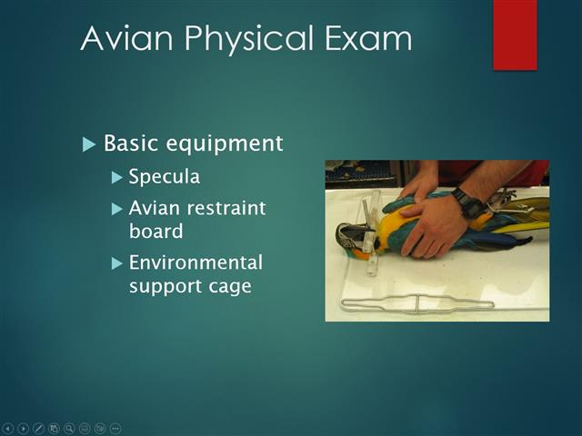 Cont. of Avian Restraint, PE and Grooming