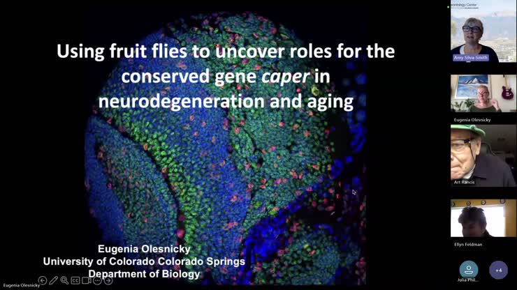 Gerontology Speaker Series-Dr. Genia Olesnicky-20250317_220957-Meeting ...