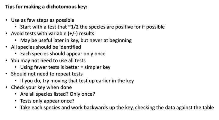 How to make a dichotomous key