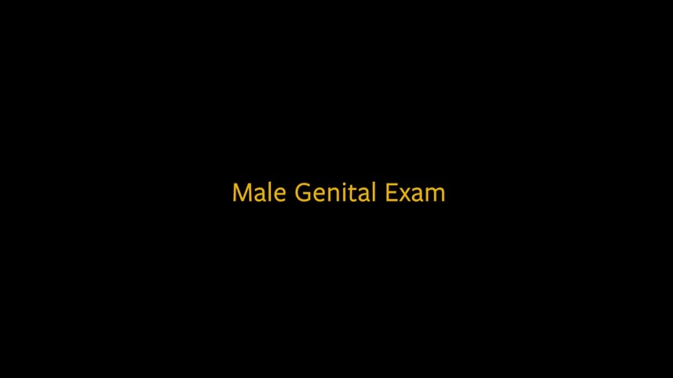 Male Genital Exam _ The University of Iowa Carver College of Medicine