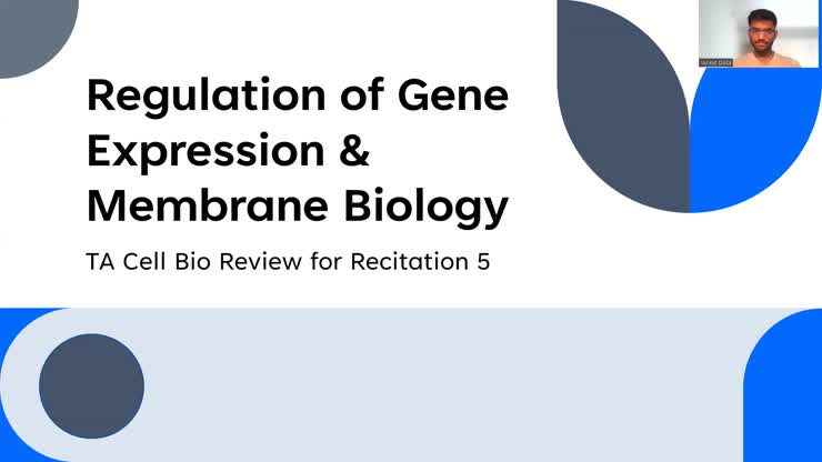 Recitation 5 Review Movie