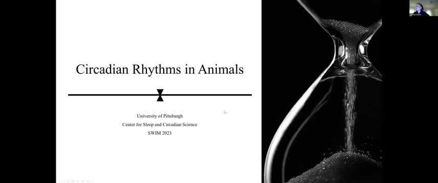 Circadian Rhythms in Animals