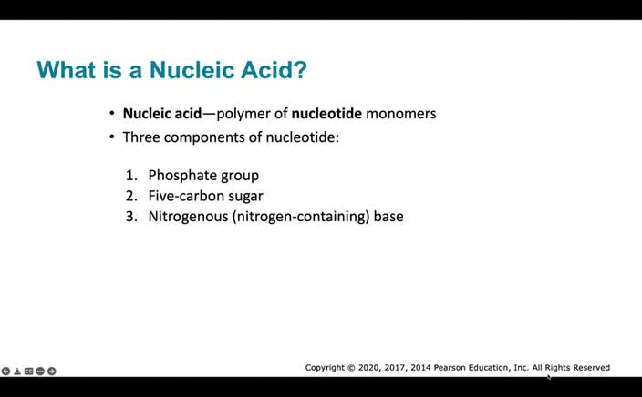 Nucleic Acids.