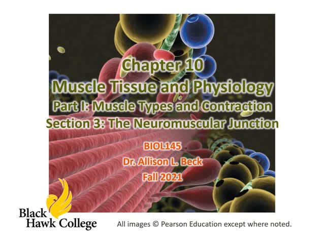 BIOL145.ch10.3.nmj.F21