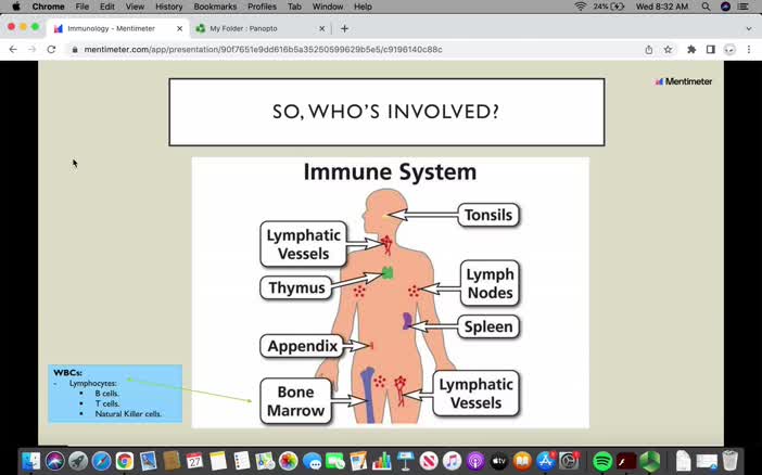 Immunity 101