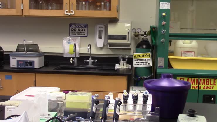 Fish barcoding_Lab_Part1_BIOL1B