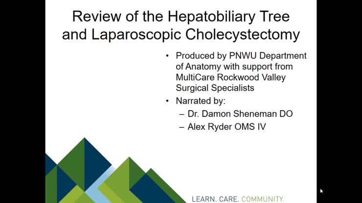 Hepatobiliary Tree and Cholecystectomy Quick Surgical Review
