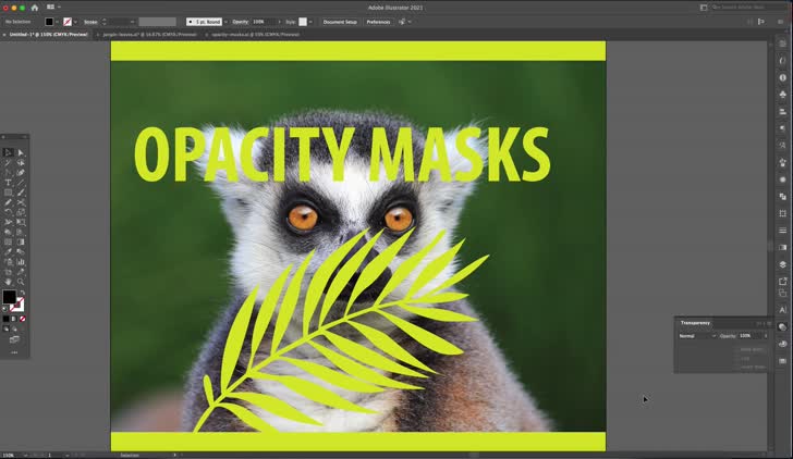 Opacity Masks