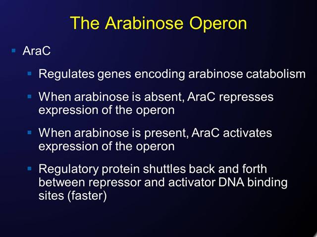 Micro M2L10a (Ara Operon)