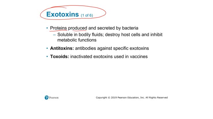 exotoxins