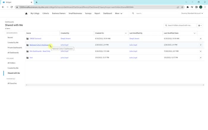 BA Dashboard Overview