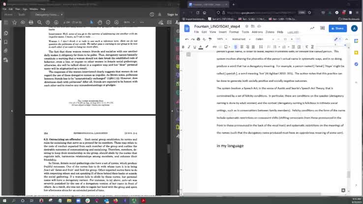 Project Step 4: Pragmatics in my language