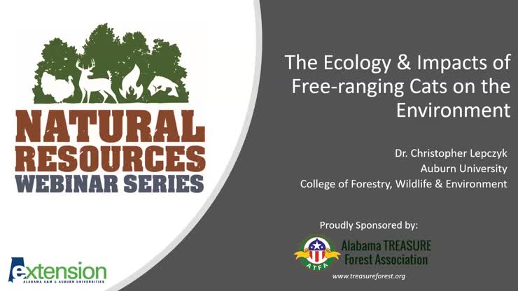 The Ecology and Impacts of Free-ranging Cats on the Environment (2-14-24)