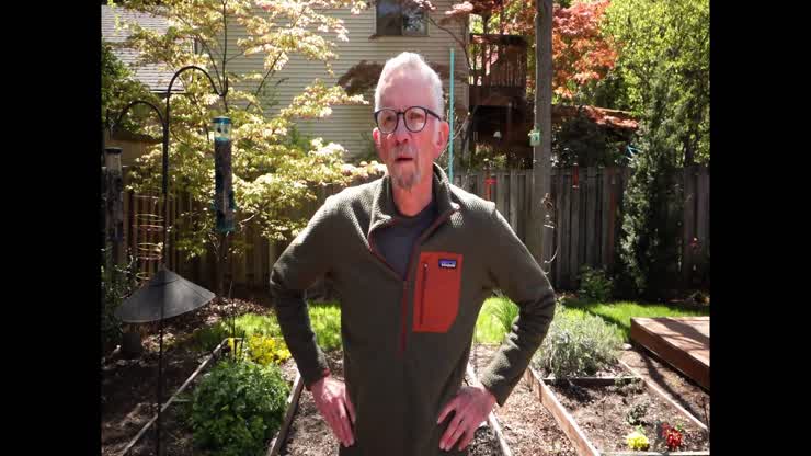 Patrick Stoll_Fall 2025