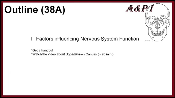 (38A) Divisions of the Nervous System, Factors influencing NS function (V)
