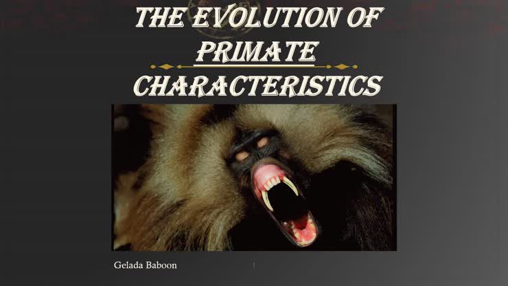 Week 2 Primate Characteristics Updated April 2023