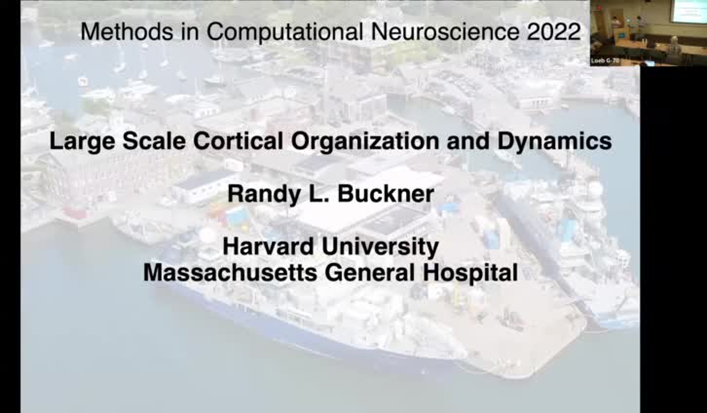 Randy Buckner: large scale cortical organization and dynamics