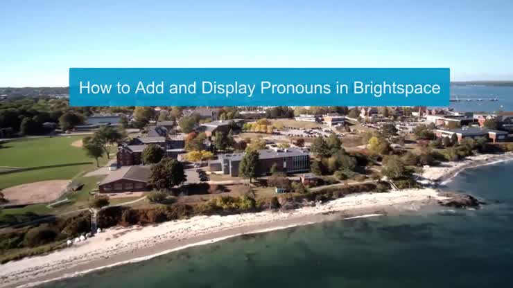 How to Add & View Pronouns