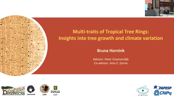 Multi-traits of tropical tree rings: Insights into tree growth and ...